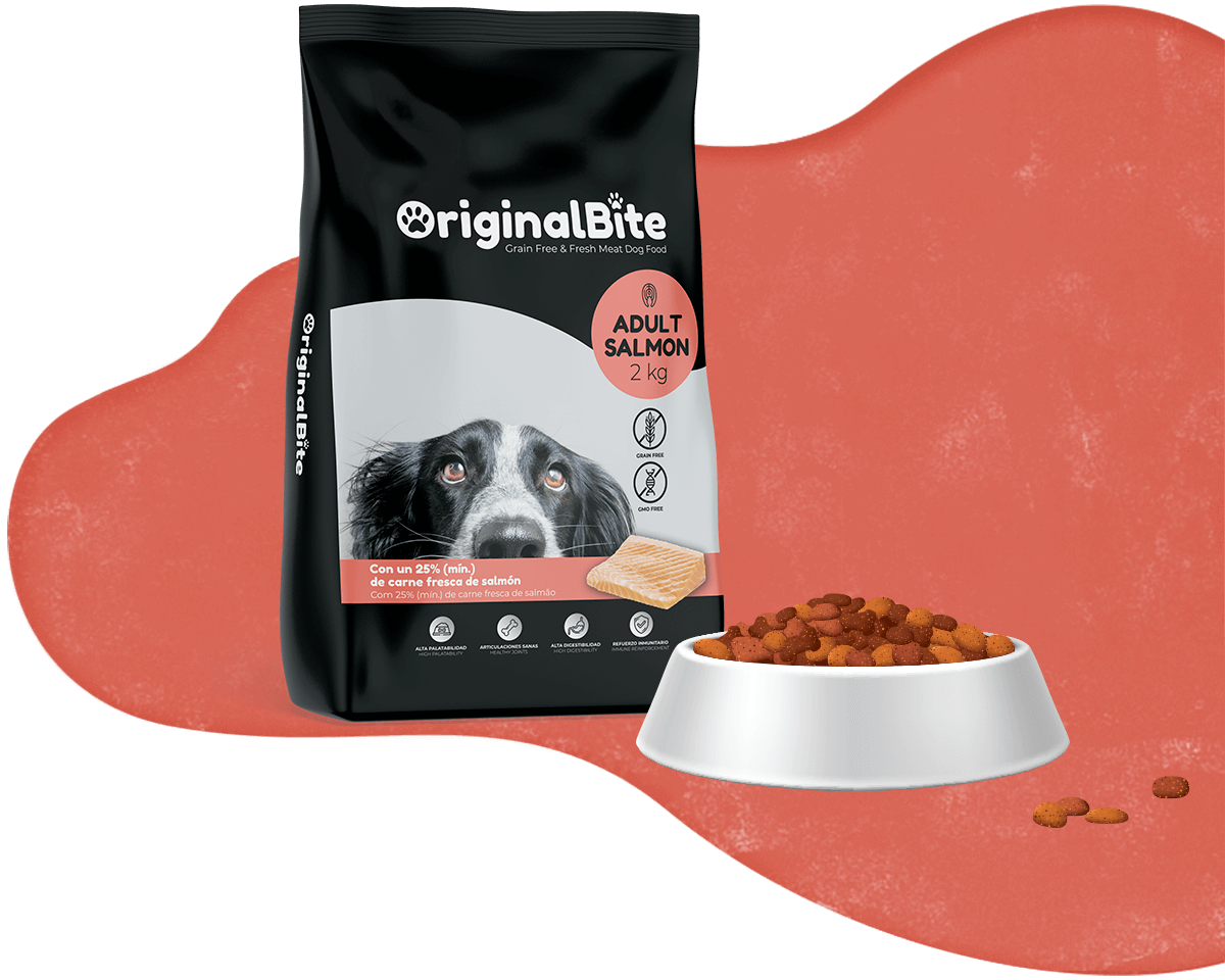 Pienso seco para perros - OriginalBite